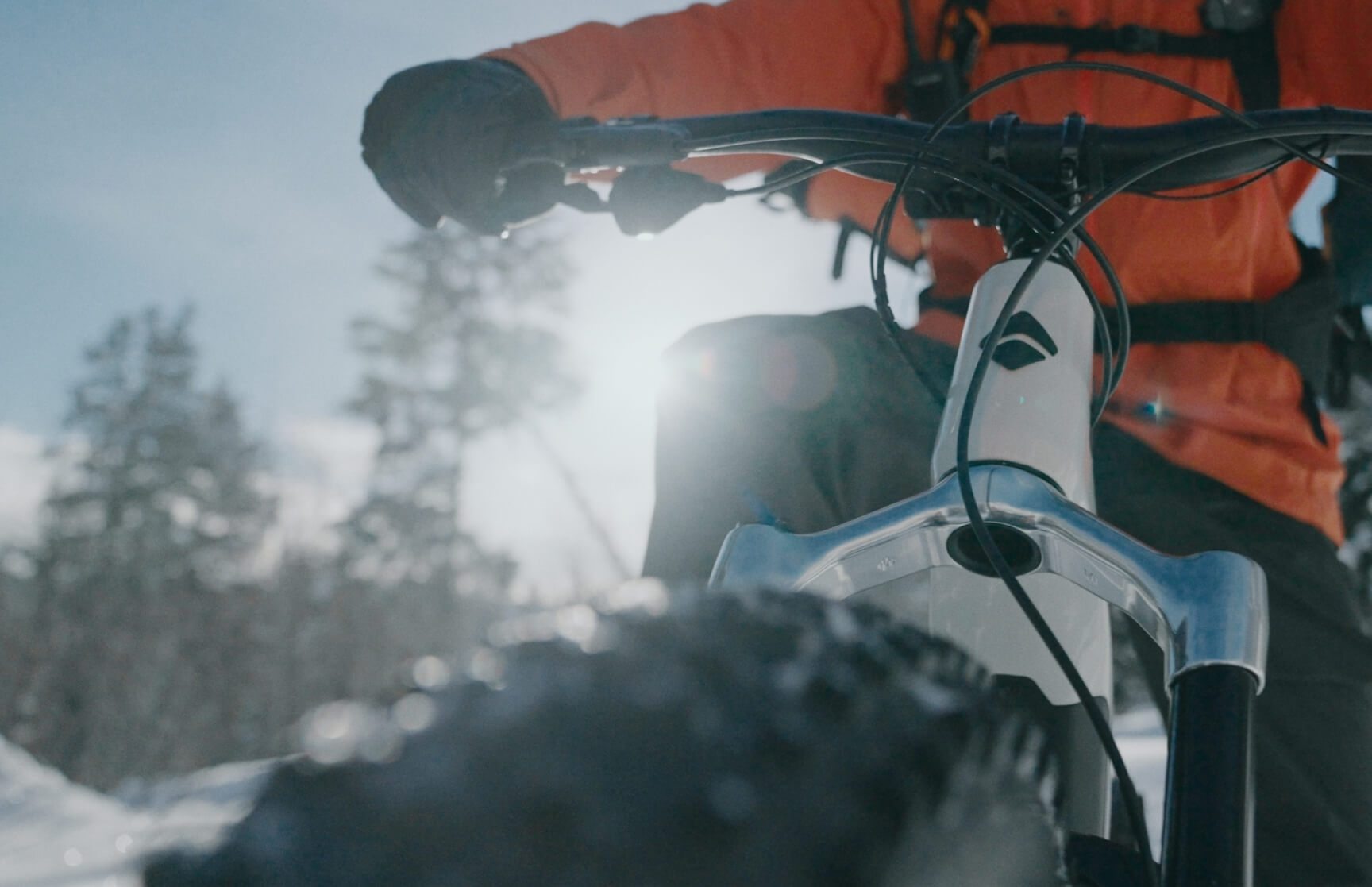 Winter Sale – Ari Bikes