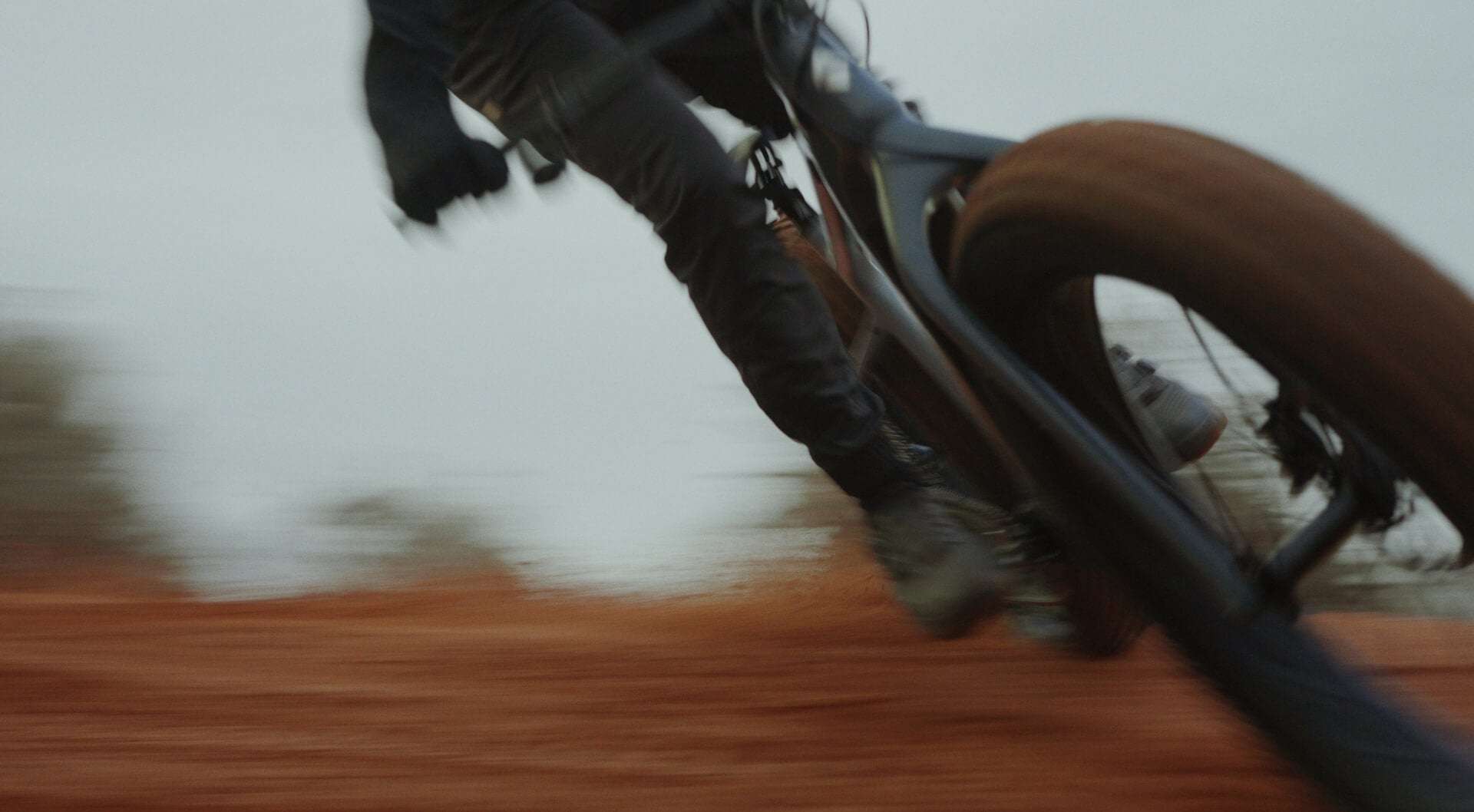 Explorer Peak - Ari Bikes