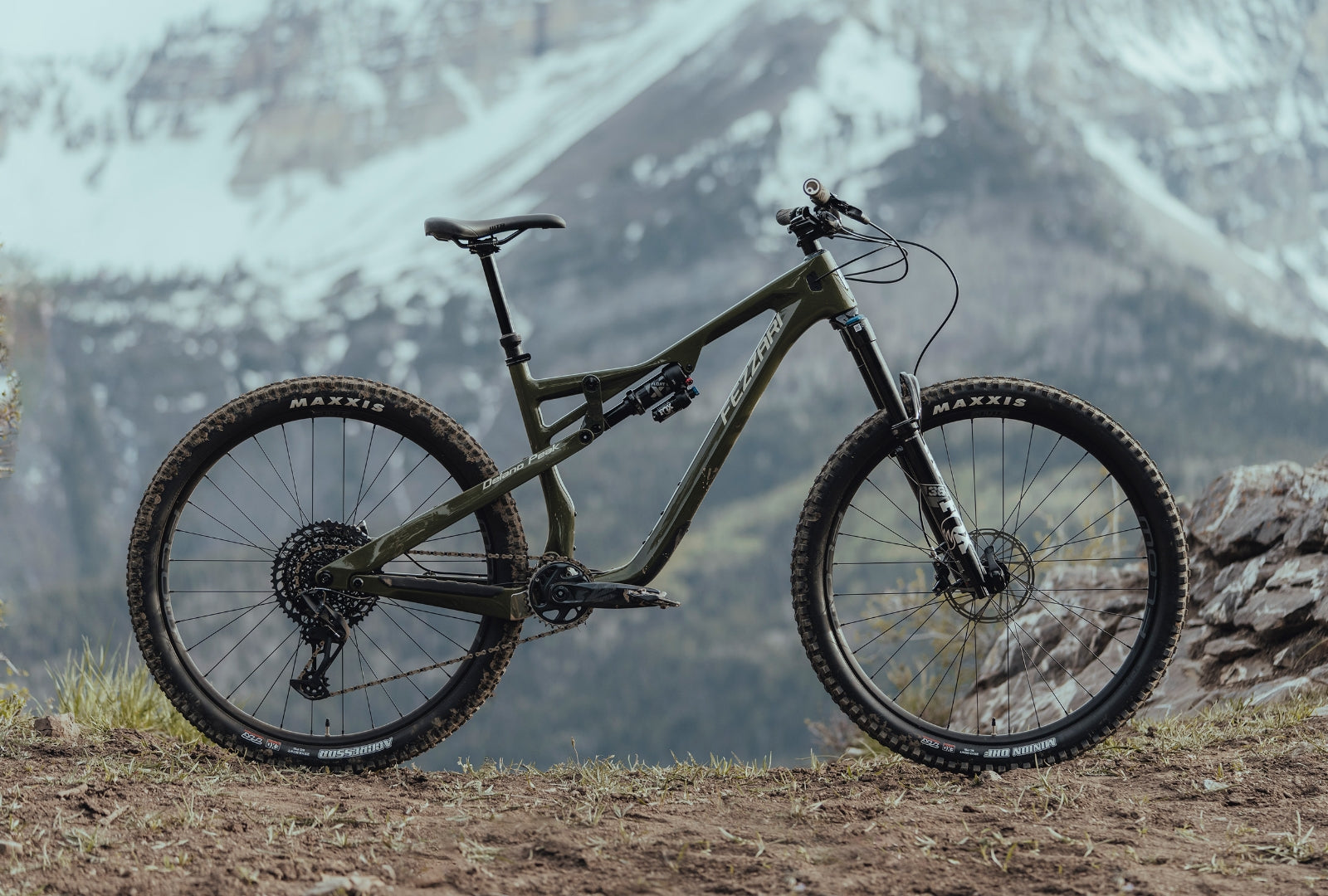 Delano Peak - Ari Bikes